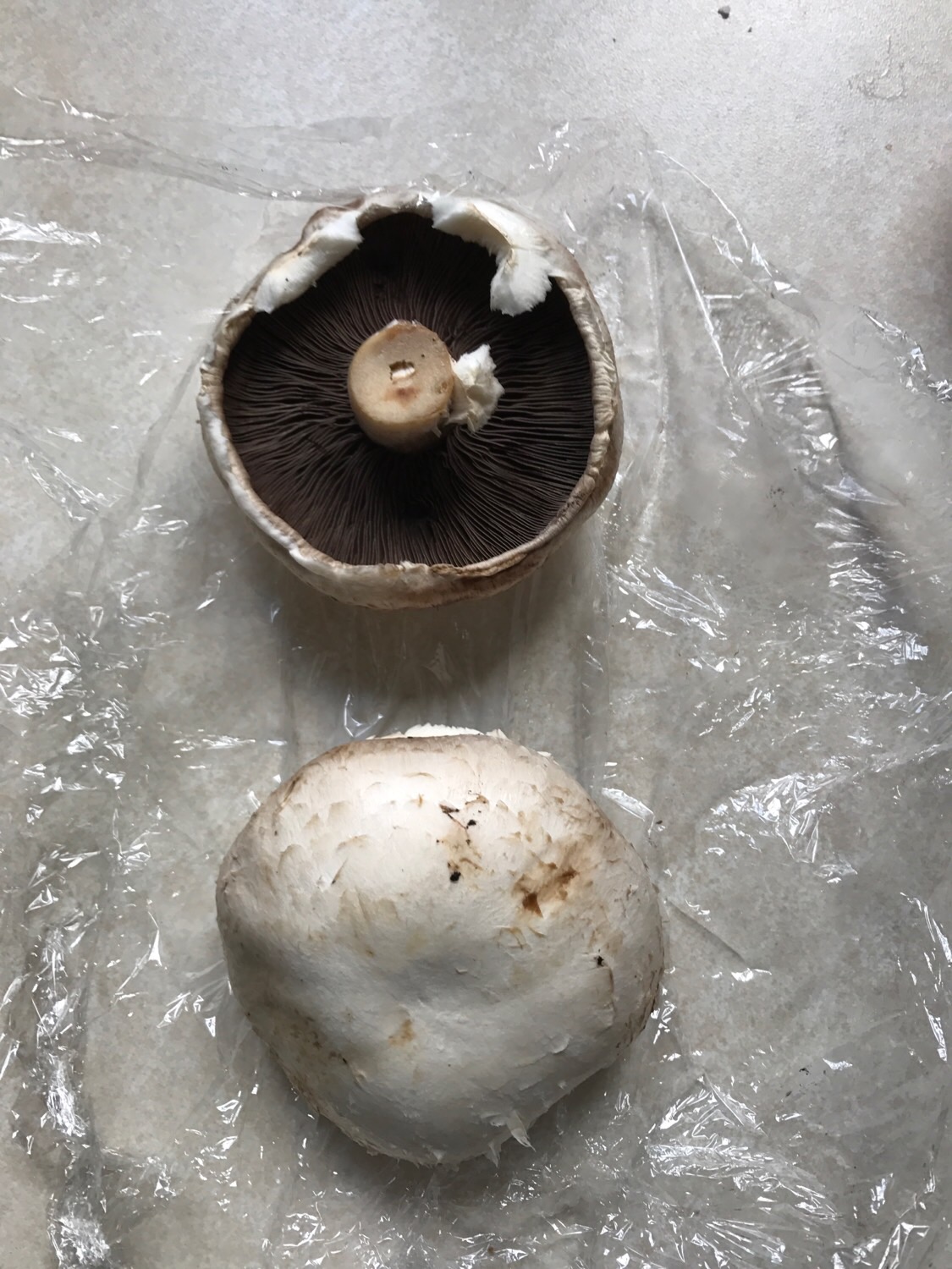 French Key Stage Three Flashcards | Memorang