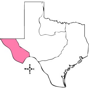 Texas History Flashcards | Memorang