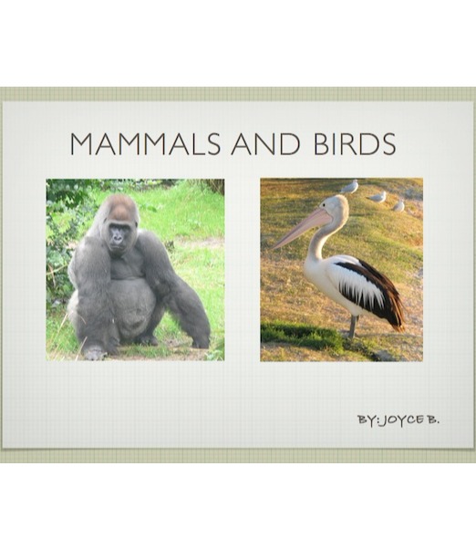 mammals and birds Flashcards | Memorang