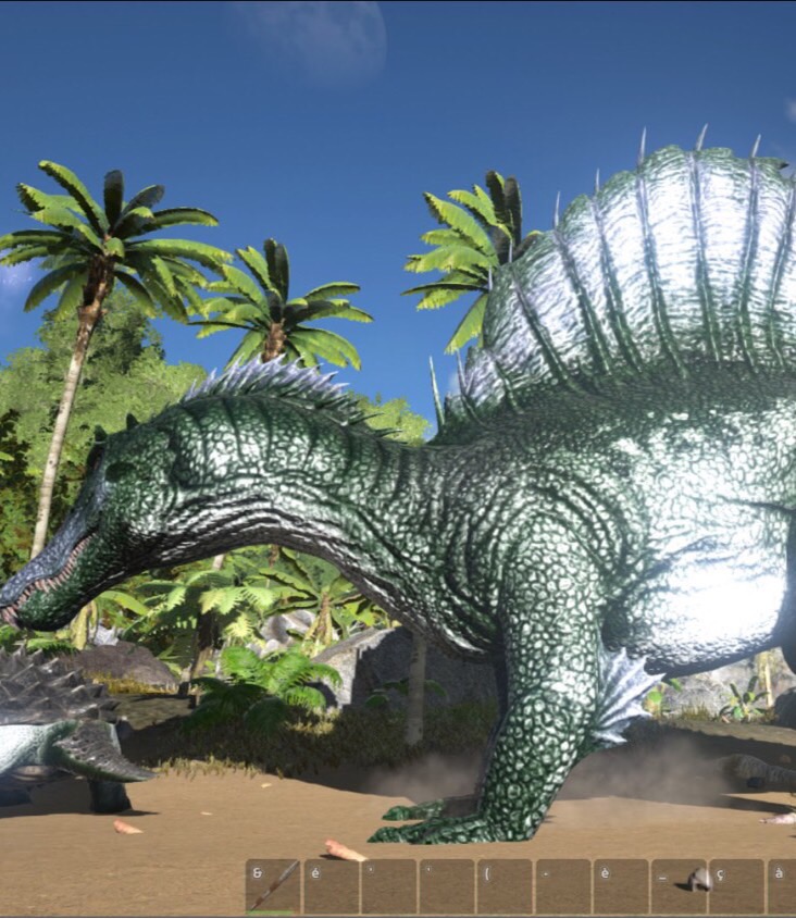 Ark Flashcards | Memorang