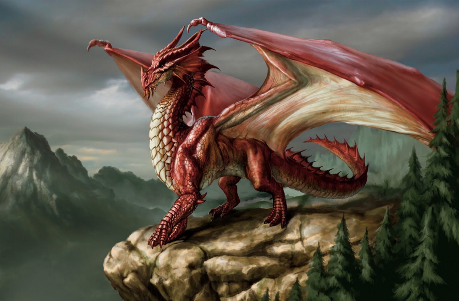 Dragon types Flashcards | Memorang