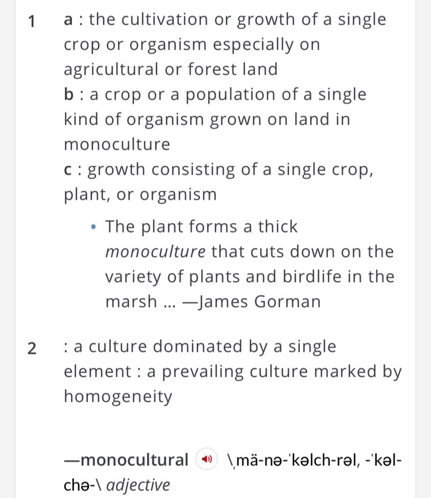 Vocabulary 2018.01.29 Flashcards | Memorang