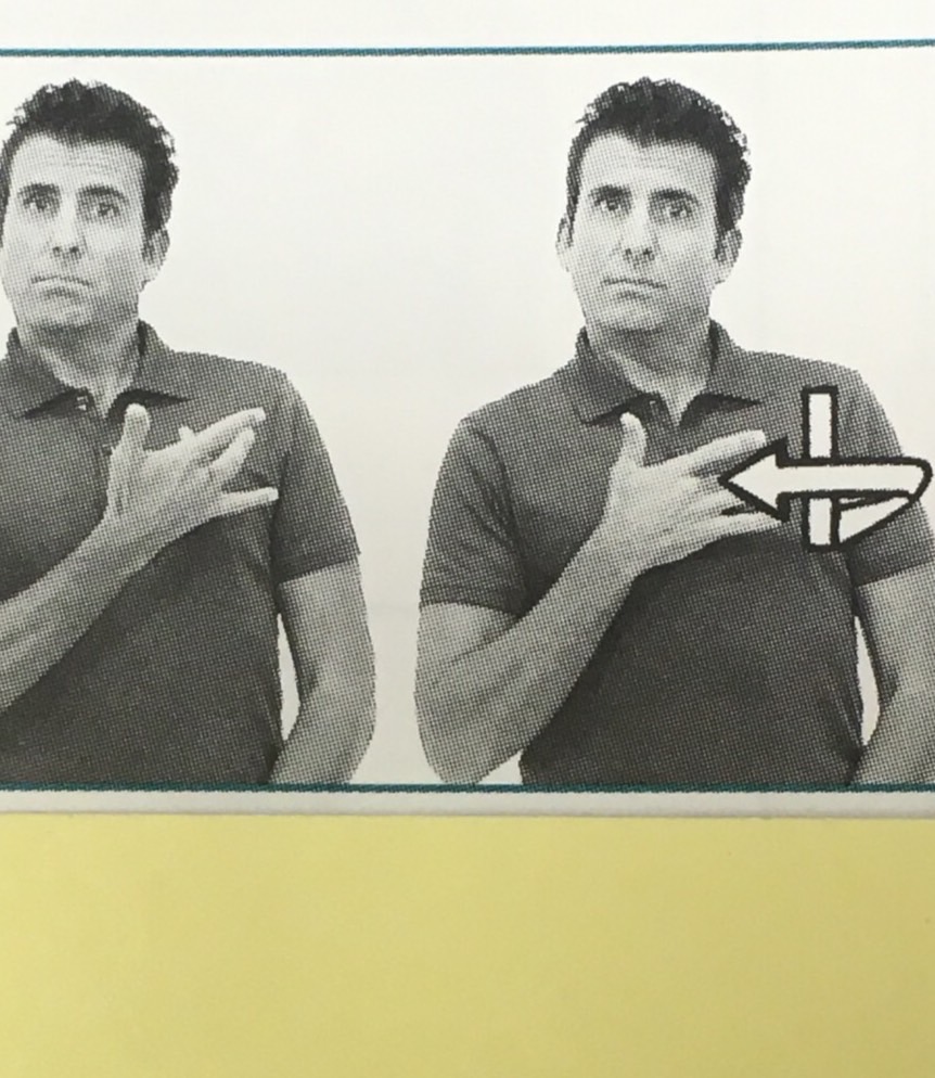 ASL Provinces, Cities, States Flashcards | Memorang