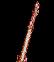 Twig ID Flashcards | Memorang