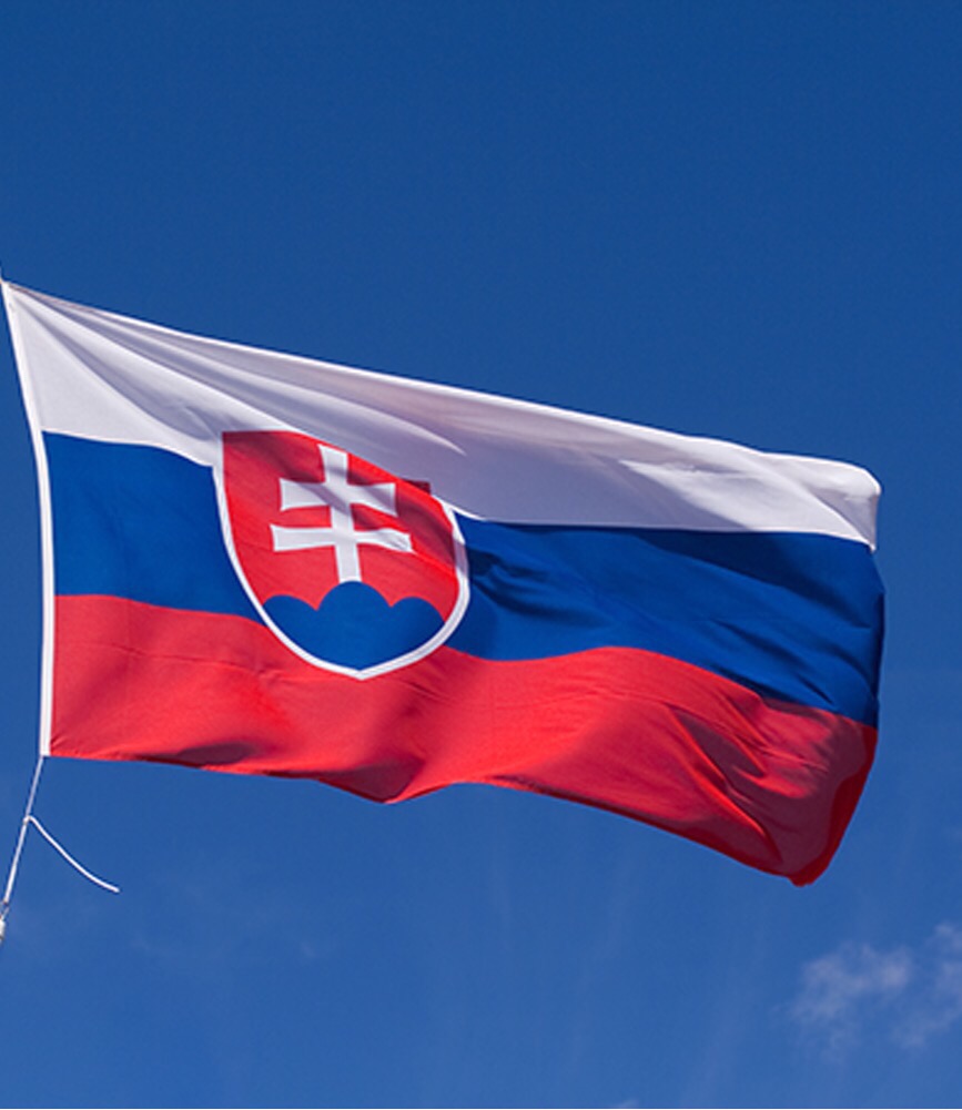 Worldwide Flags Part II (150) Flashcards | Memorang