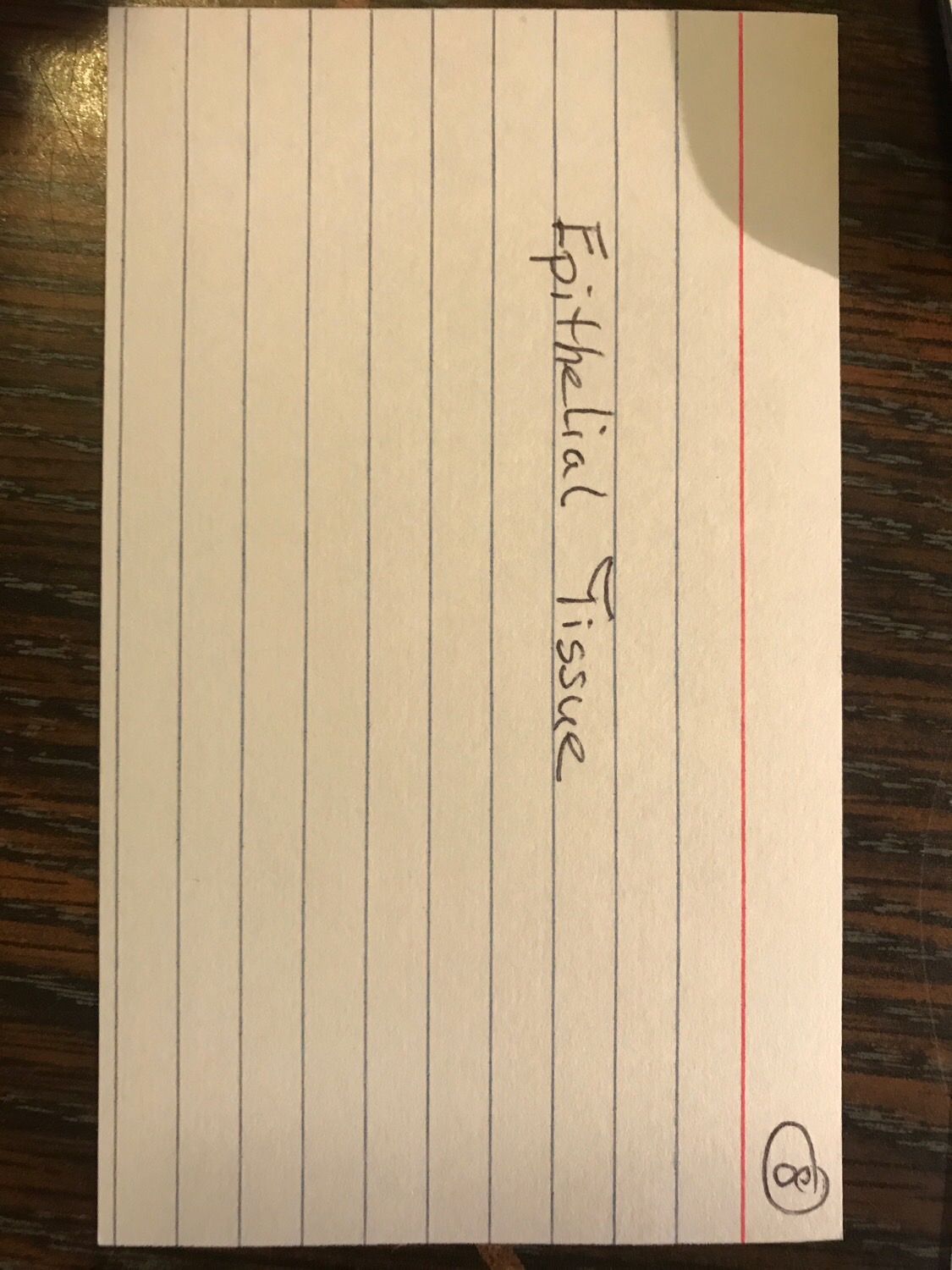 Chapter 8 (Tissues) A+P Flashcards | Memorang