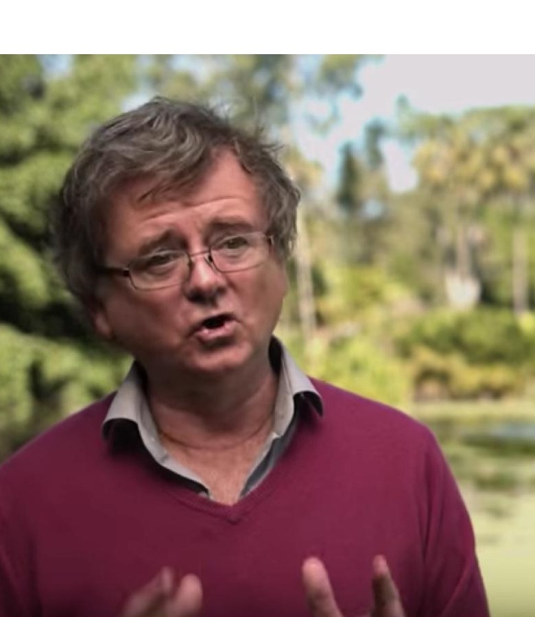 Bob Dave Flashcards | Memorang