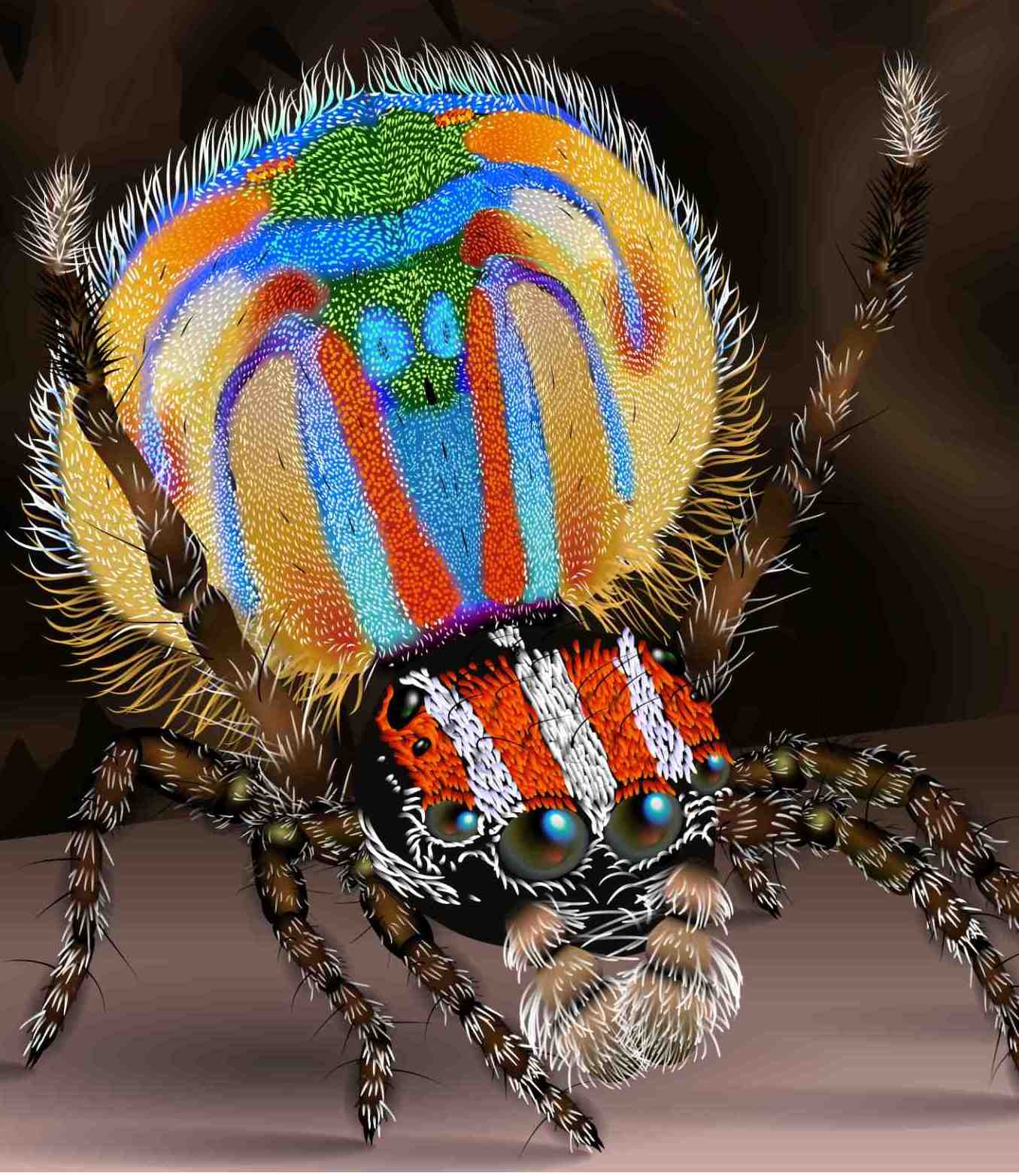 Weird Animals Flashcards | Memorang