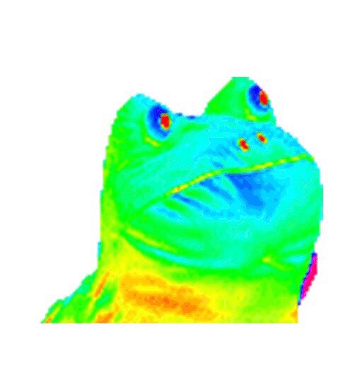 How Much You Suck Flashcards Memorang