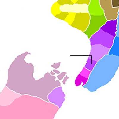 Iwi Māori Flashcards | Memorang