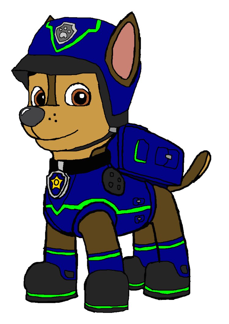 Paw patrol Flashcards | Memorang