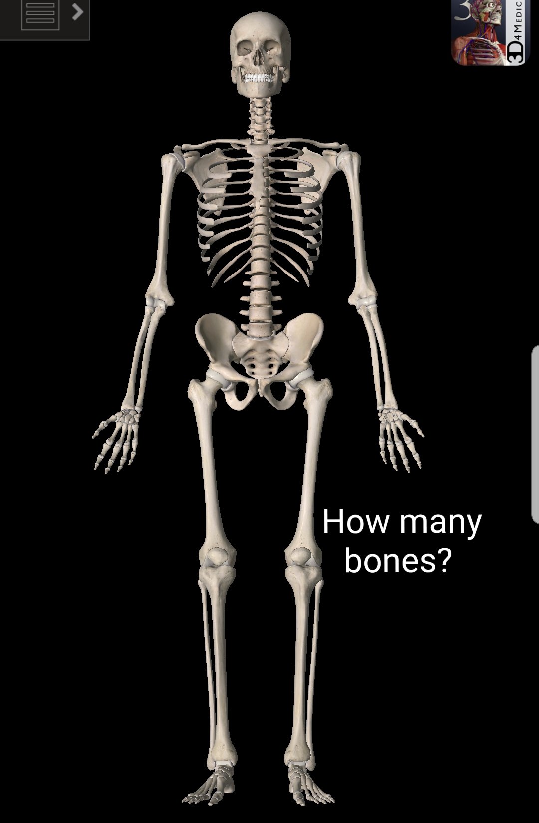 L2 Bones and Joints Flashcards | Memorang