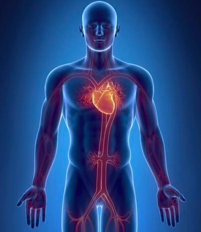 Science 2019 S1 Flashcards | Memorang