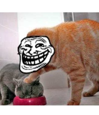 troll Flashcards | Memorang