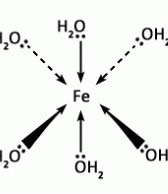 Shapes of complex ions Flashcards | Memorang