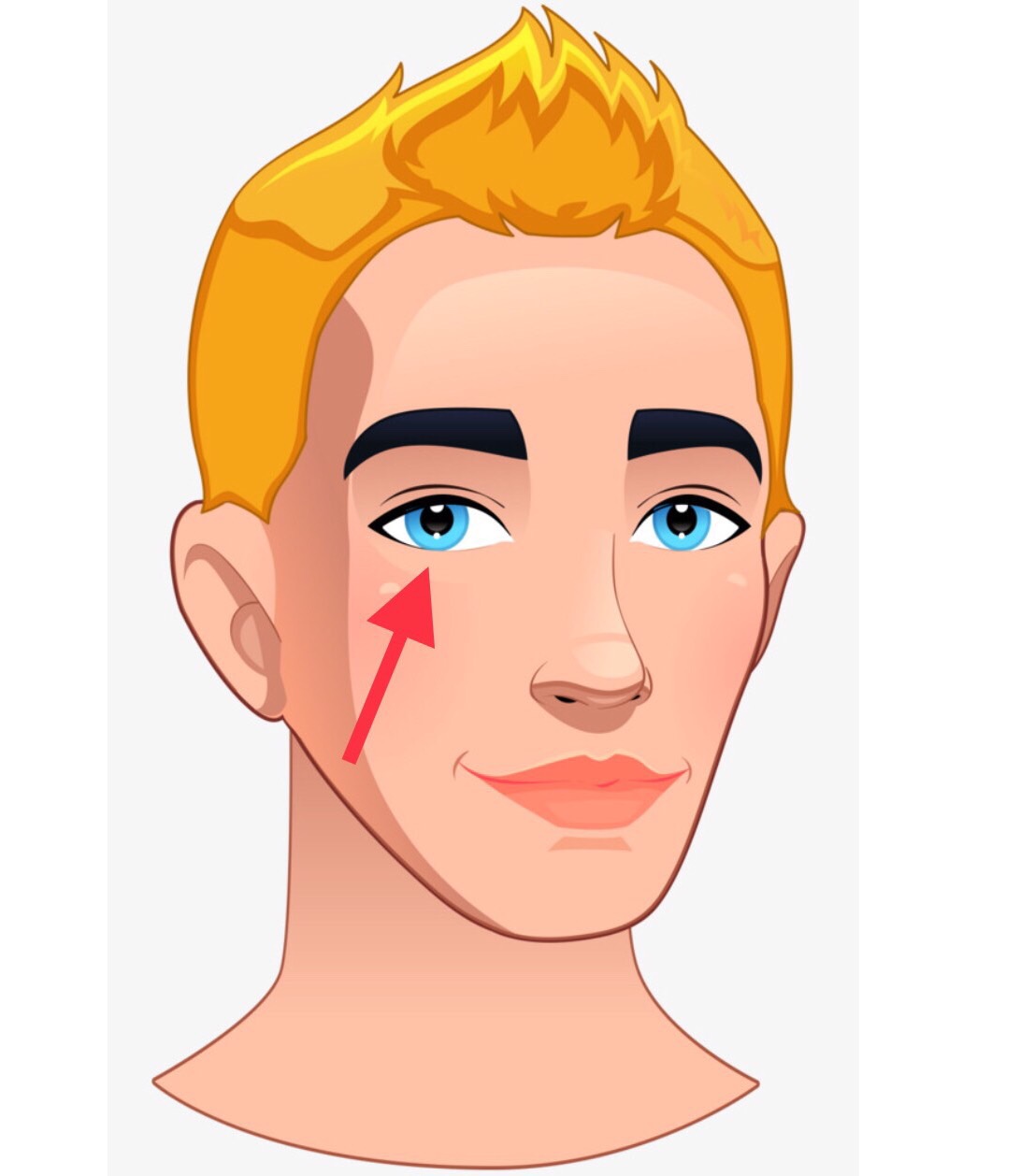 Le visage FLE Flashcards | Memorang