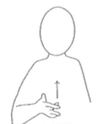 Simple feelings and emotions BSL Flashcards | Memorang