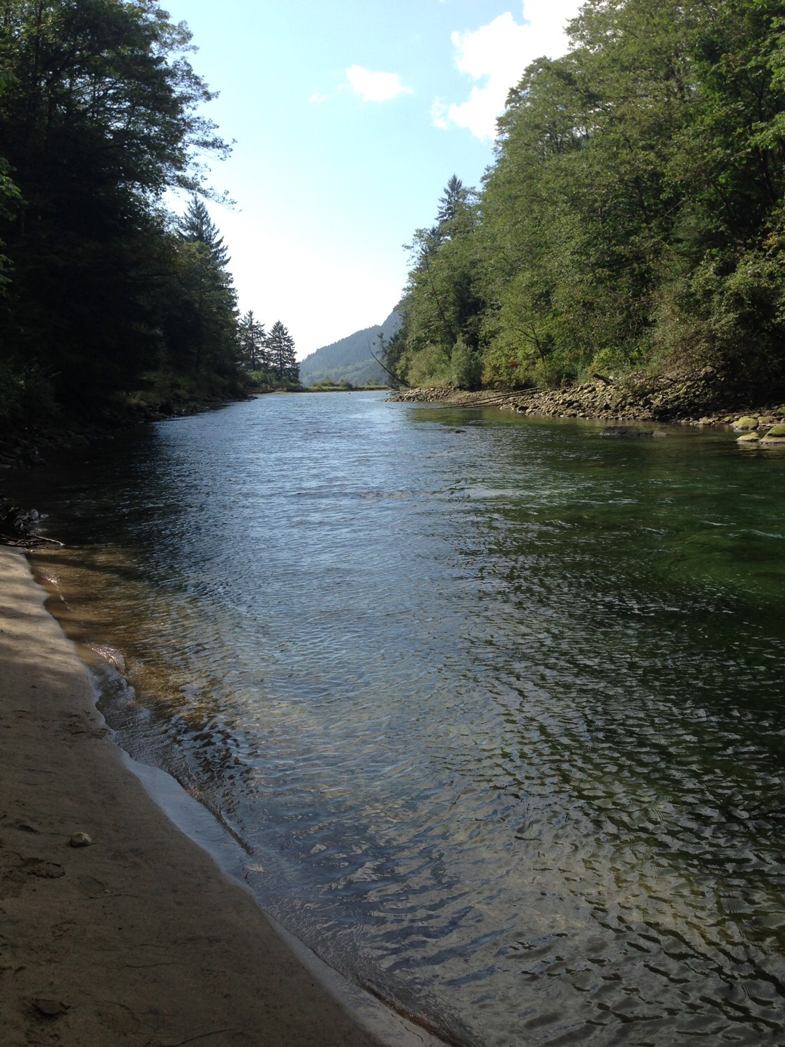 Squamish Language Flashcards | Memorang