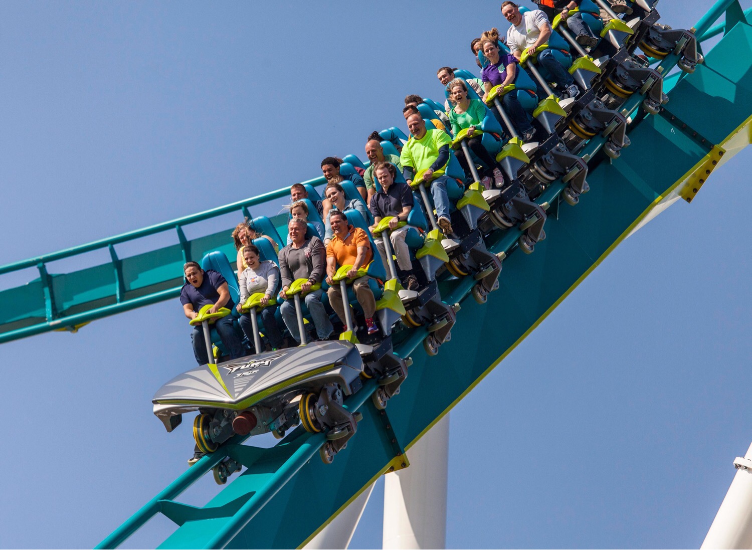 Carowinds Flashcards | Memorang