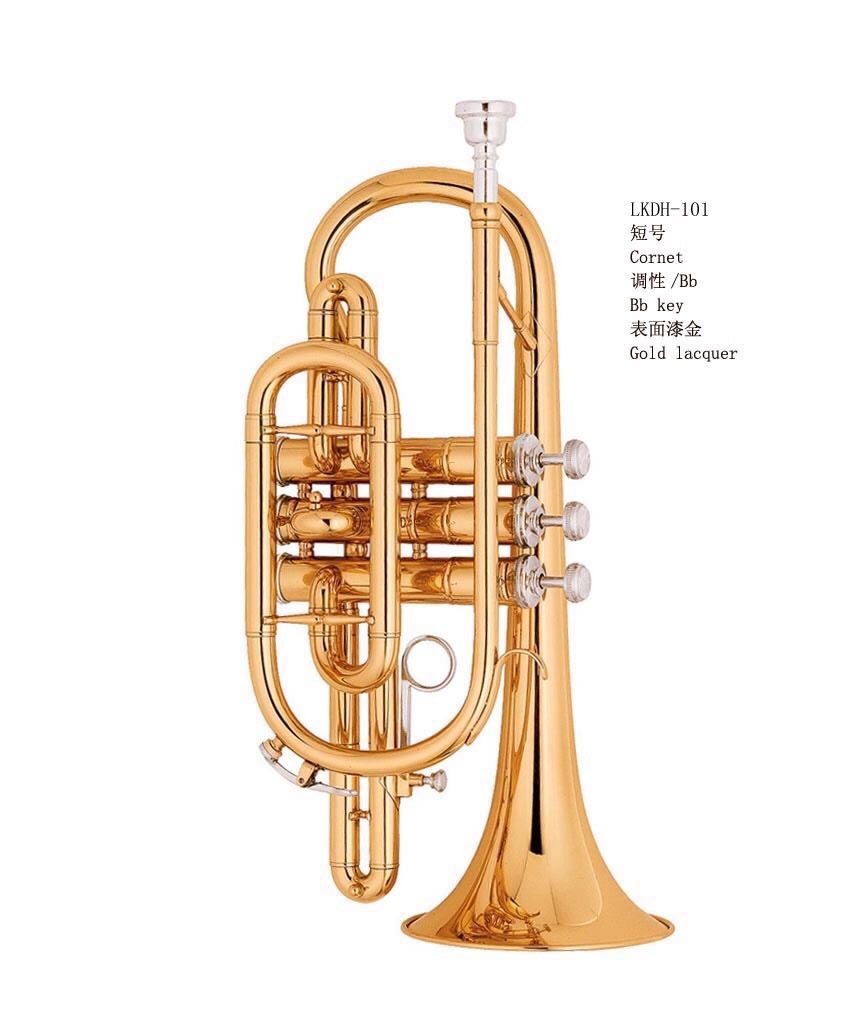 Musical Instruments Flashcards | Memorang