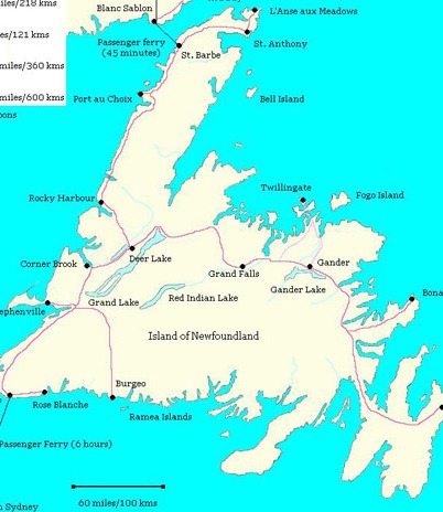 Labrador Retrievers. Flashcards | Memorang