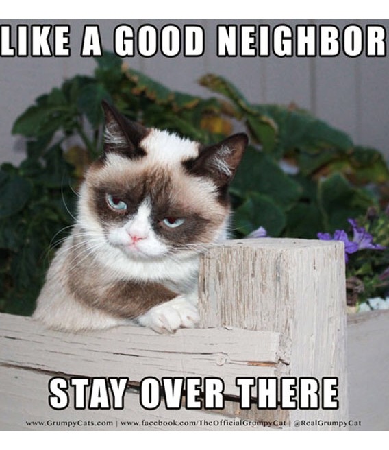 Grumpy Cat Memes Titanic