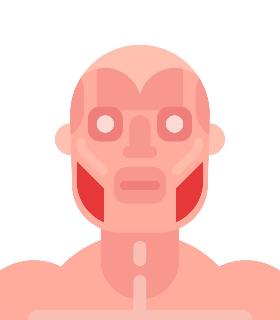 Copy of Muscles of the Body Flashcards | Memorang