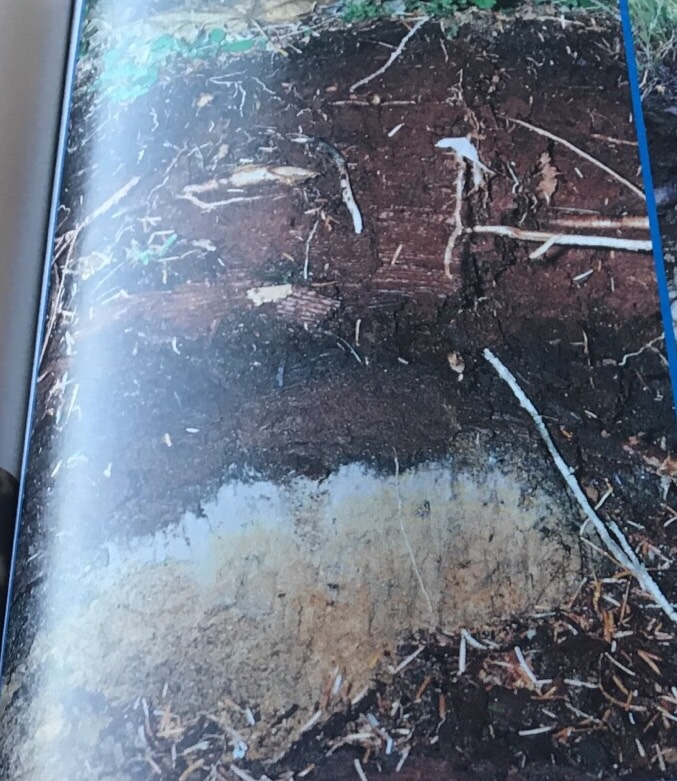 Soil, Rocks and Landforms Flashcards | Memorang