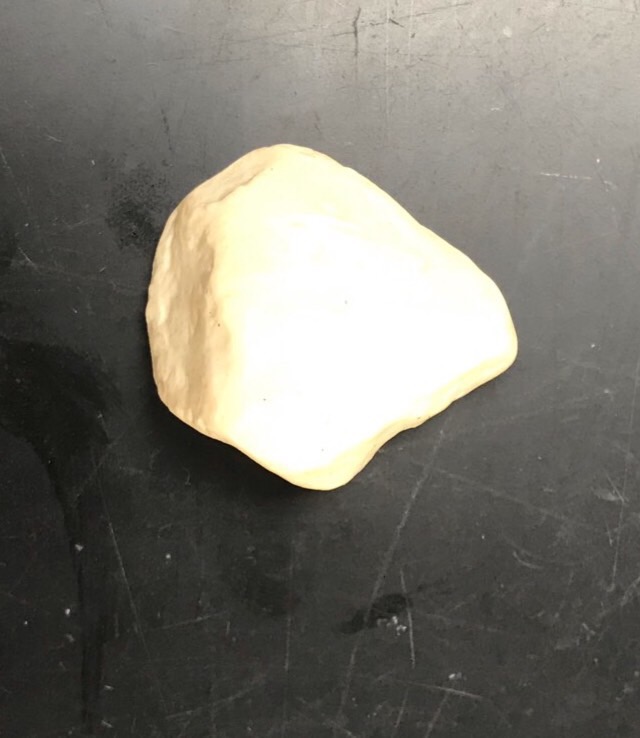 Anatomy and physiology Bone classification Flashcards | Memorang