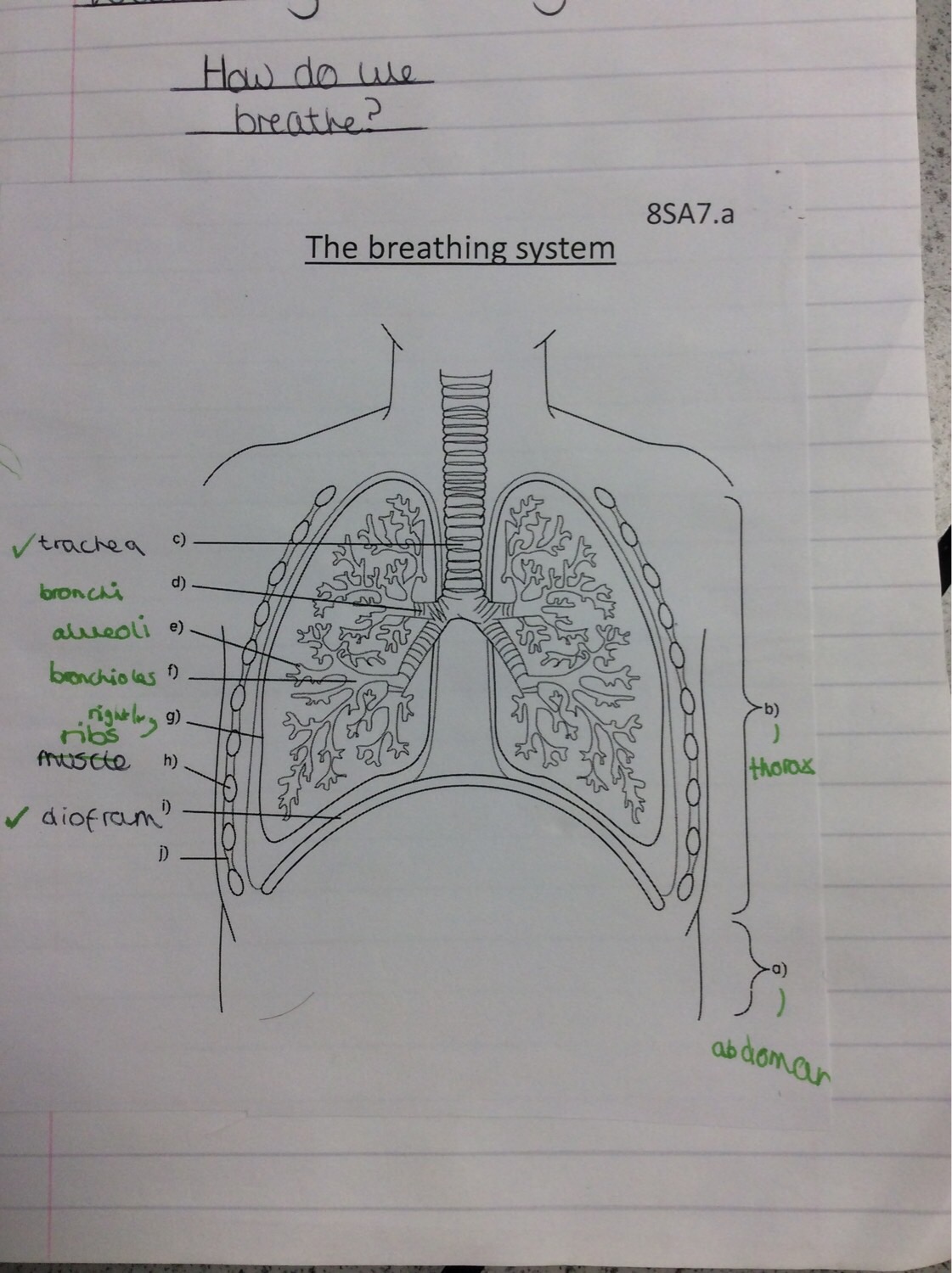 Science - Staying Alive. Flashcards | Memorang