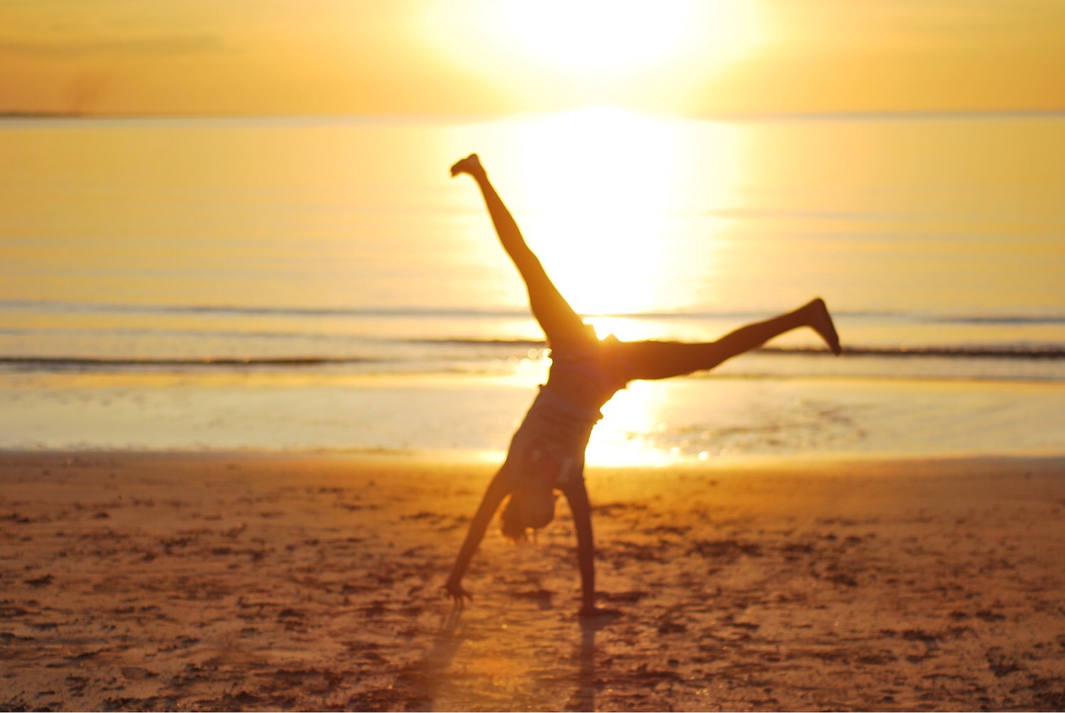 Cheer Flashcards | Memorang