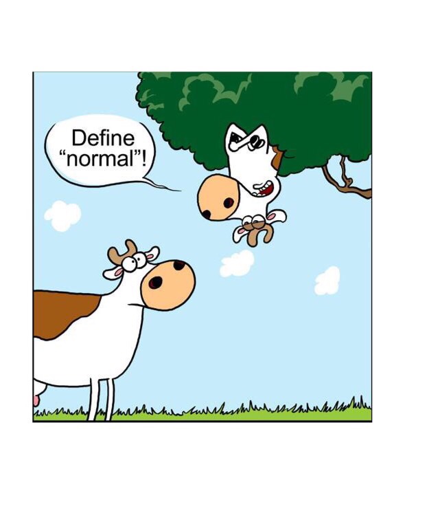 Funny Flashcards | Memorang