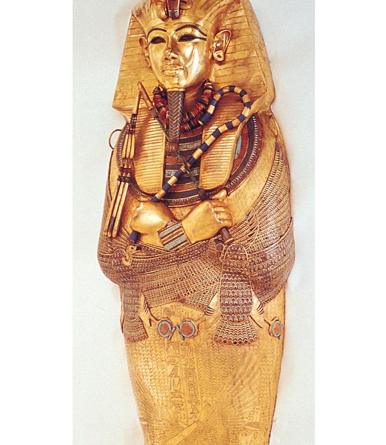 AA CH 9 Flashcards | Memorang