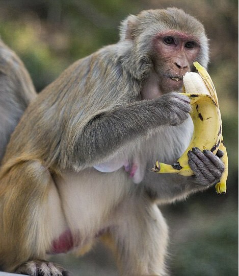 Everyone can learn something new Flashcards | Memorang