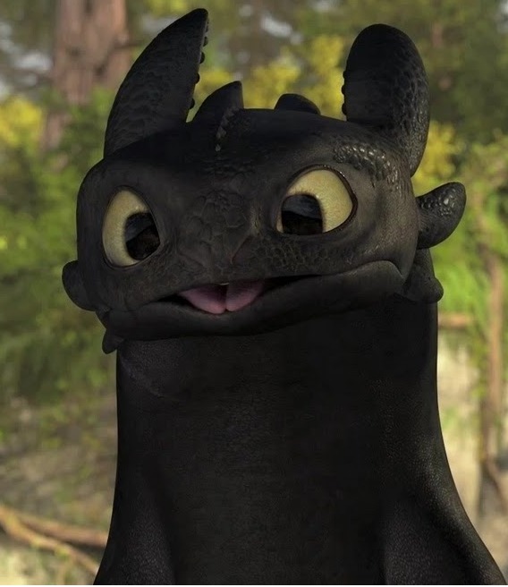 How to Train Your Dragon 'Dragon Species' Flashcards | Memorang