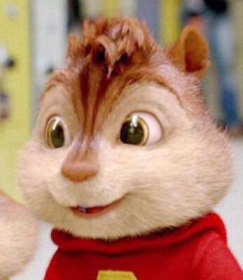 Chipmunks / Chipettes Flashcards | Memorang