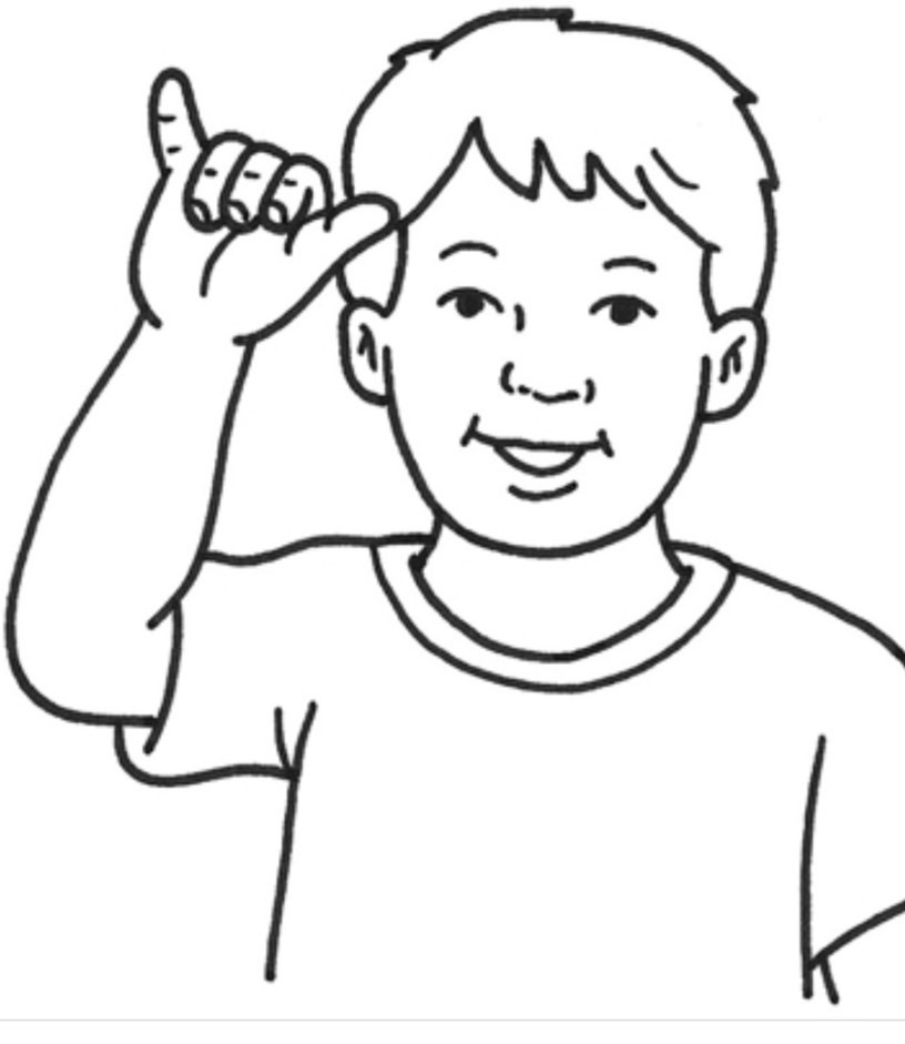 Animals In Sign Language Flashcards Memorang