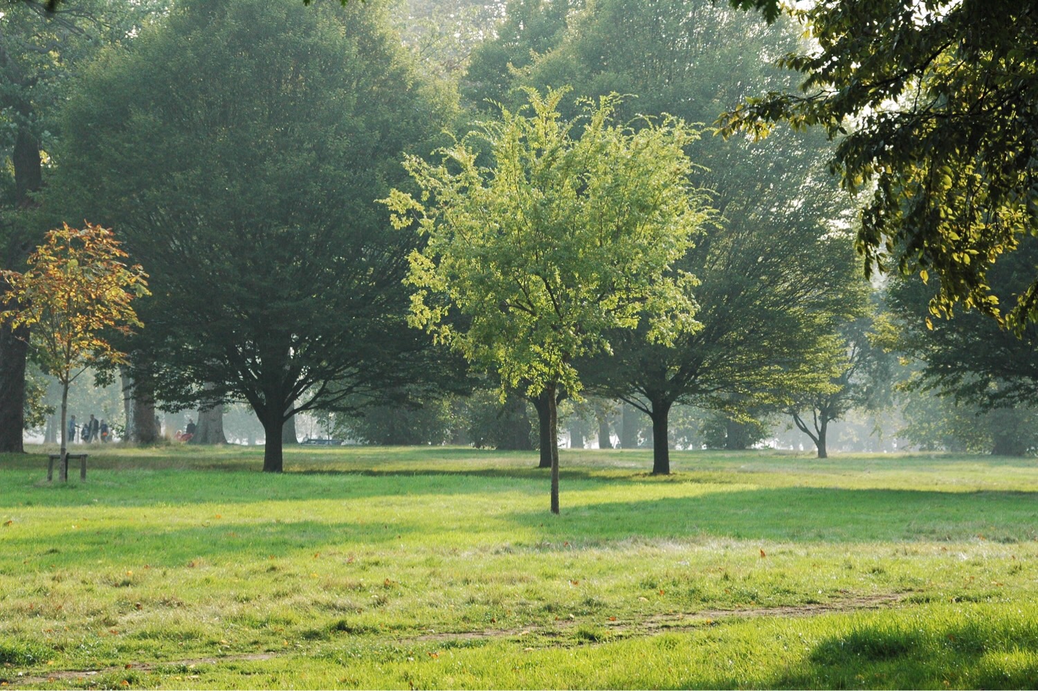 Chapter 5 Flashcards | Memorang