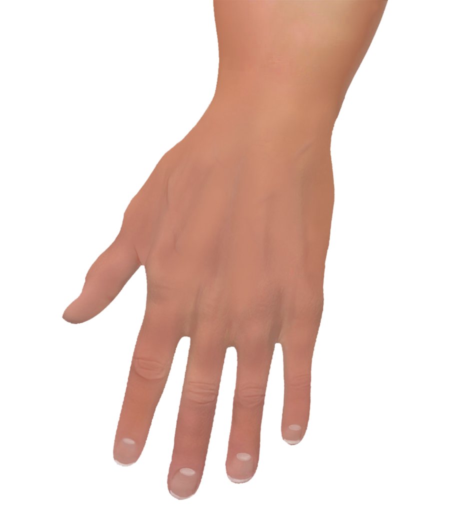 Turkish Body Parts Flashcards | Memorang