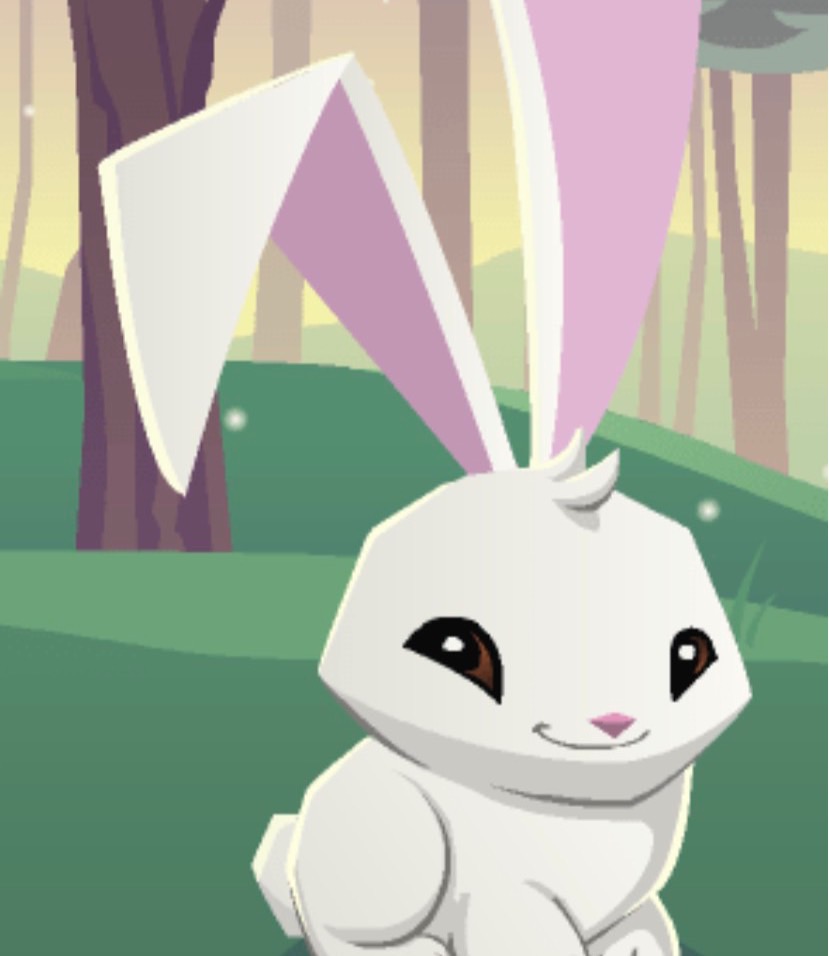 Animal jam animals Flashcards | Memorang