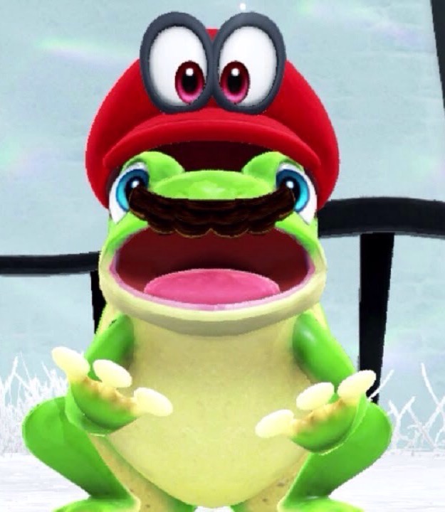 Super Mario Odyssey creatures Flashcards | Memorang