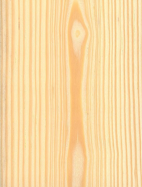 Wood Flashcards | Memorang