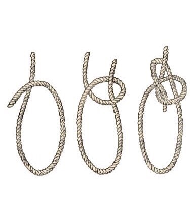 Knots Flashcards | Memorang