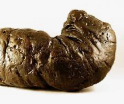 💩 Flashcards | Memorang