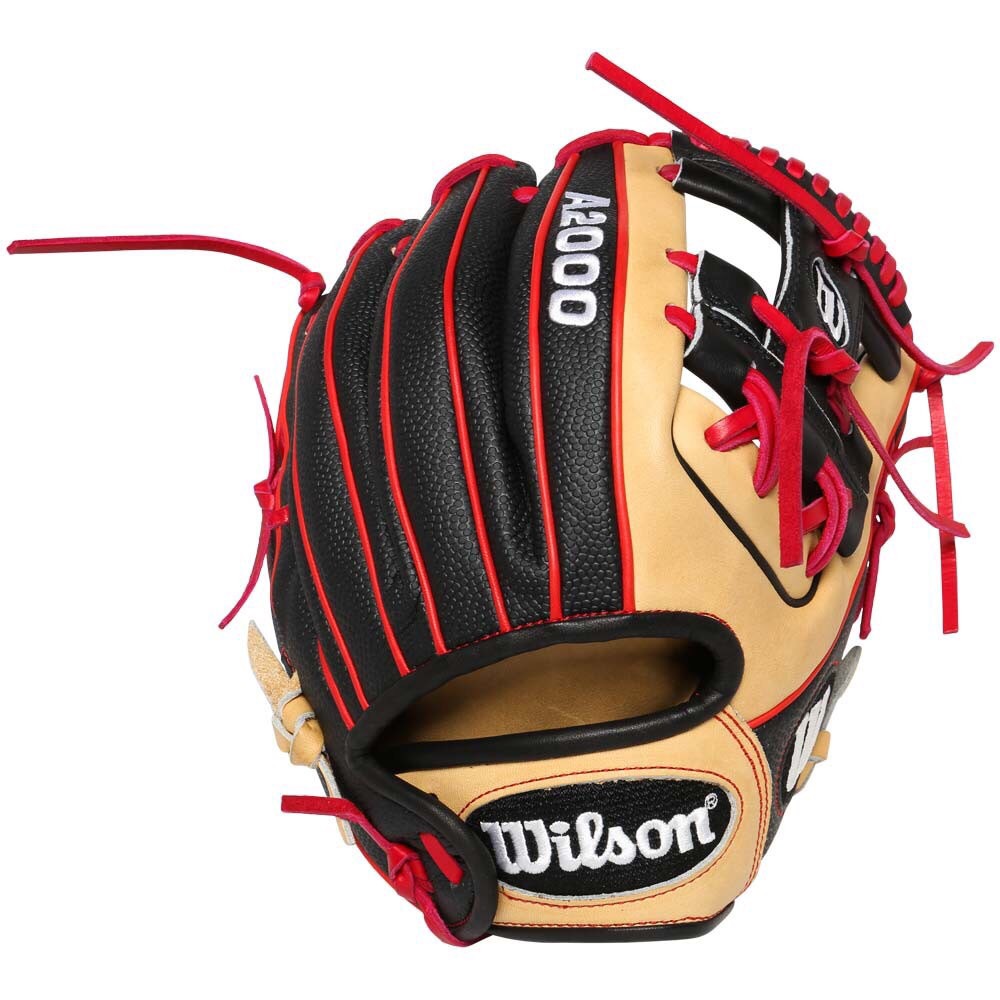 Different baseball gloves Flashcards | Memorang