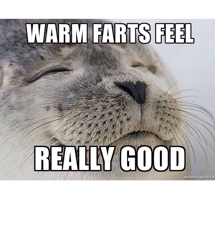 Memes Flashcards | Memorang