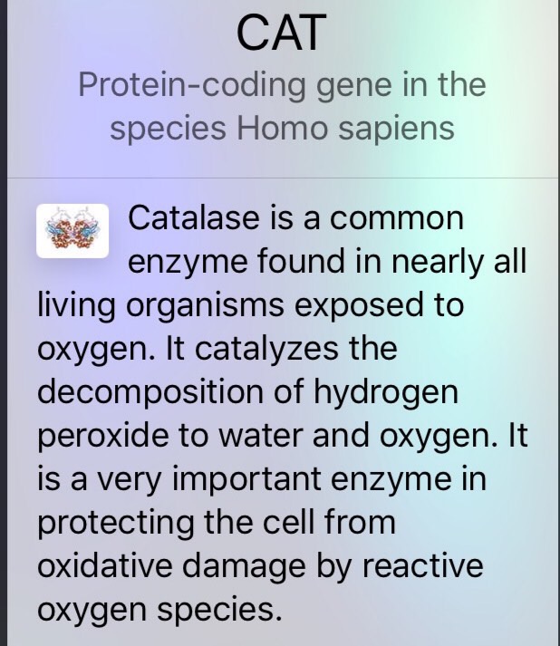 Catalase/Catalyst/Catalysis Flashcards | Memorang