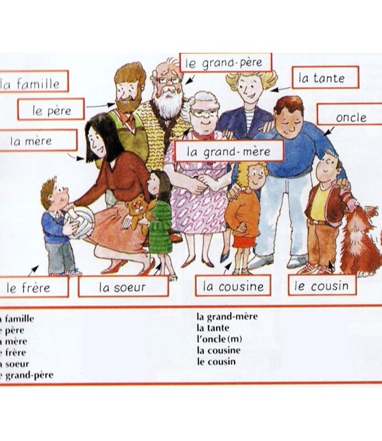 La famille Flashcards | Memorang