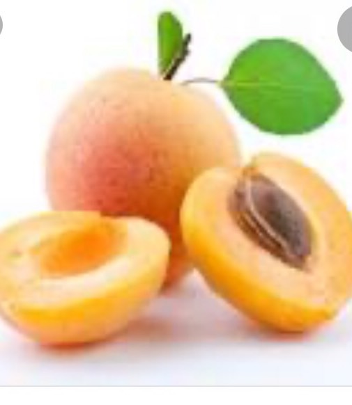 Vocab 1 chapter 3 Flashcards | Memorang