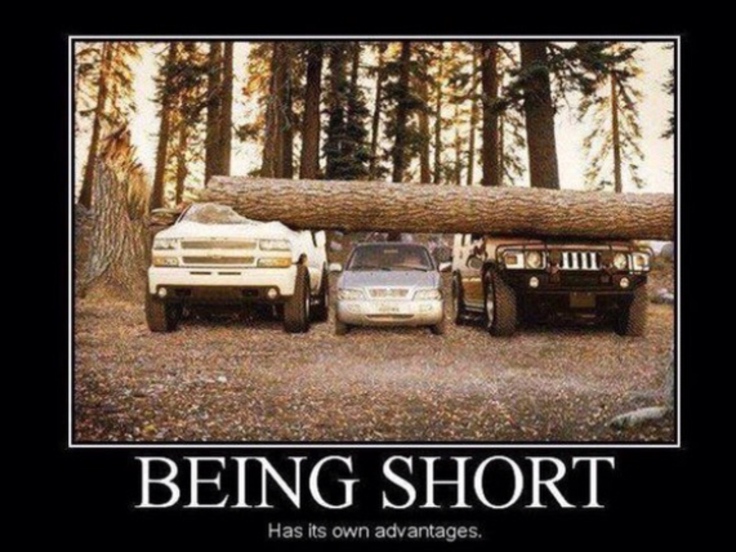 Memes Flashcards | Memorang